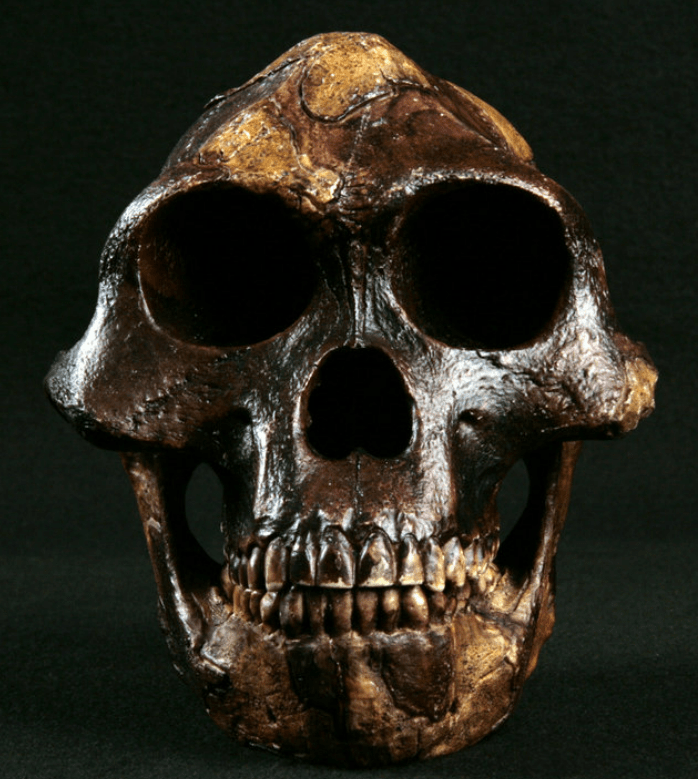 Ale komiks ! – Strona o lepszych komiksach, które przeczytałem, o ...